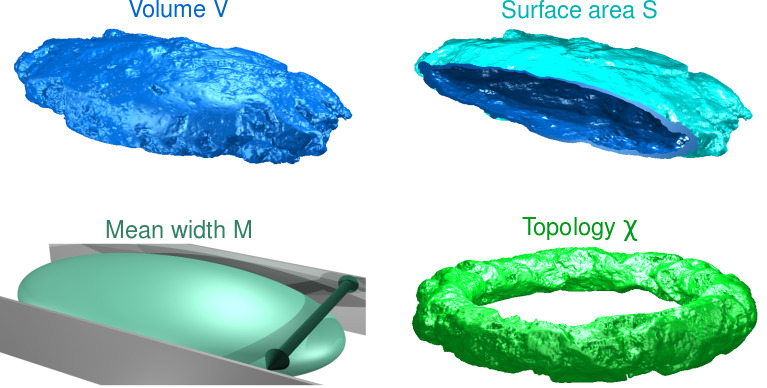 3D Functionals – morphometry.org