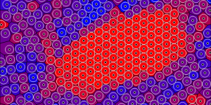 Examples – morphometry.org